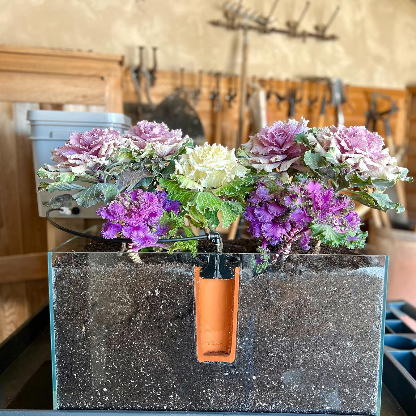 The Thirsty Earth automatic olla watering system for your garden