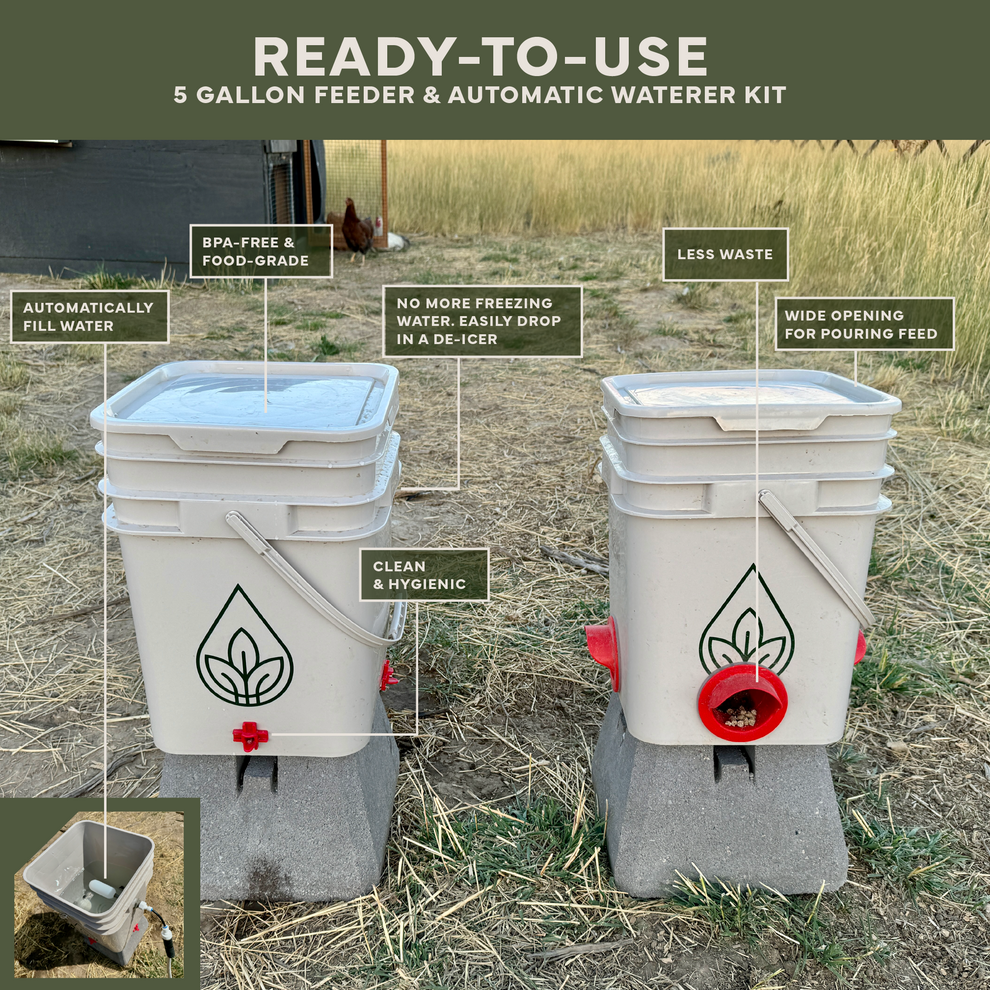 Easy Chicken Feeder and Automatic Chicken Waterer Kits – Chicken Chore ...