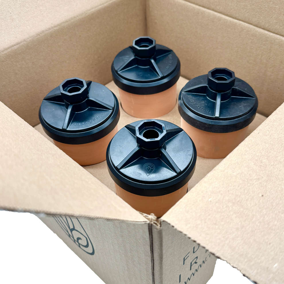 The Thirsty Earth automatic olla watering system for your garden