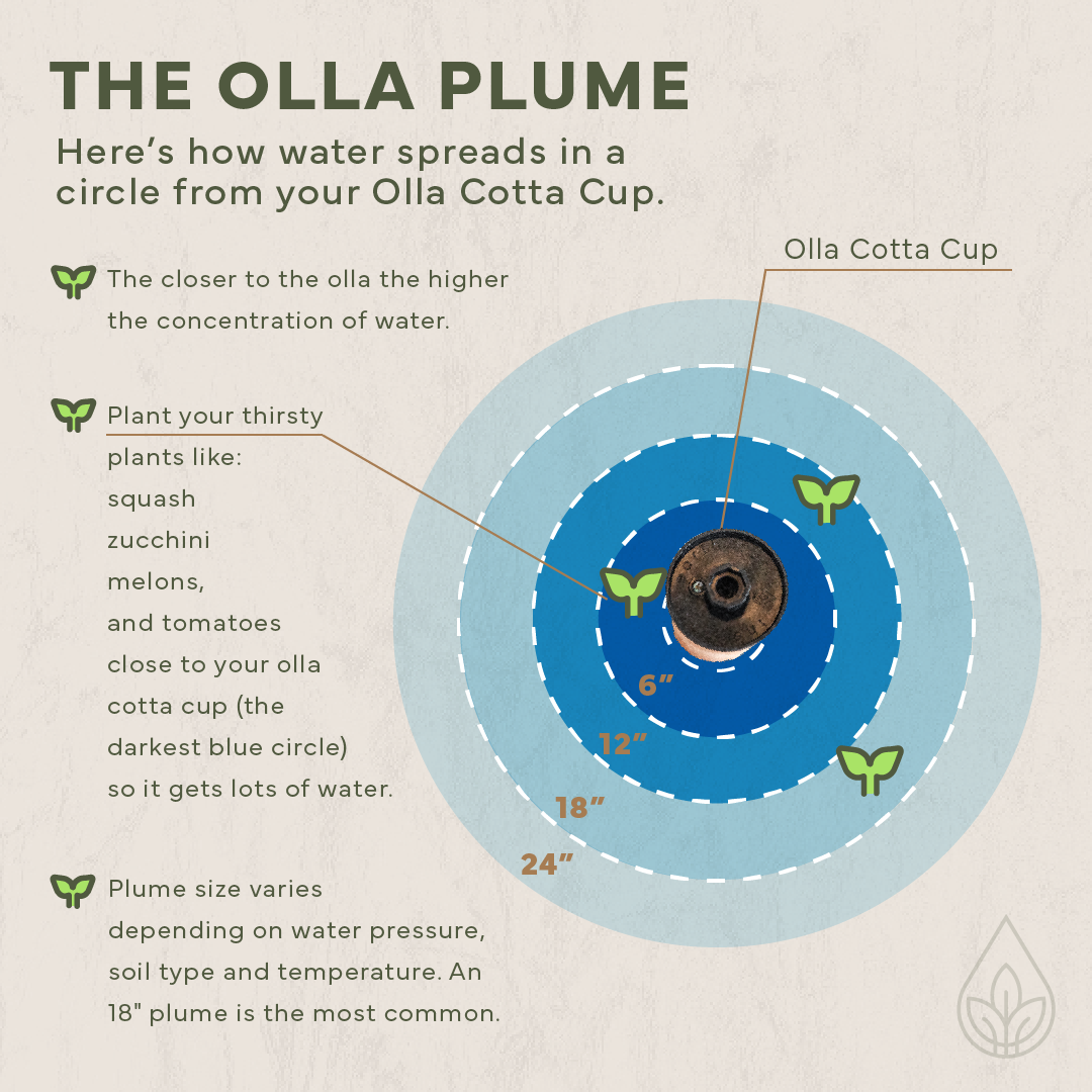 CottaCup Olla Expansion Pack with FREE Winter Storage Olla Box ...