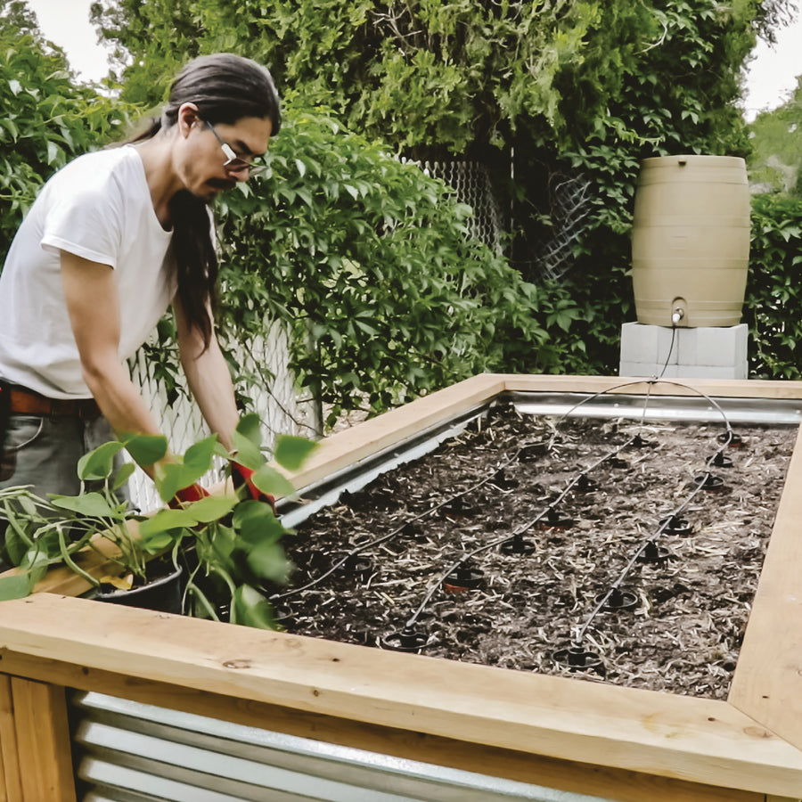 Automatic Olla Garden Watering System, Using Ollas For Gardening